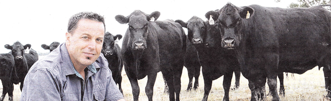 Sam Bets On Black Adameluca Angus